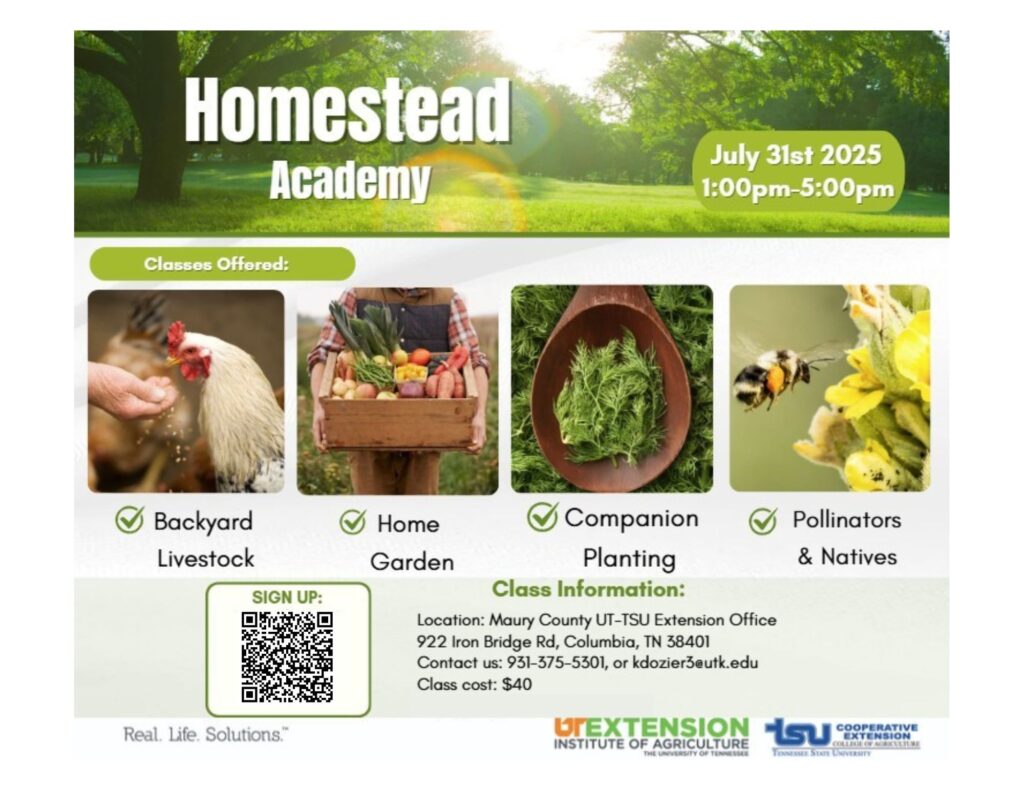Horticulture Programs | Maury County